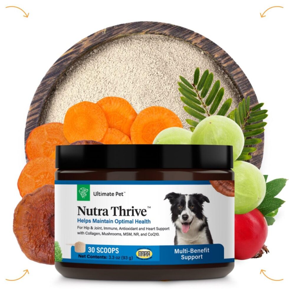 Nutra Thrive For Dogs by Ultimate Pet Nutrition